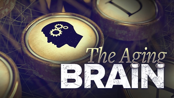 Online Course on Aging and How the Brain Works - The Aging Brain | The ...