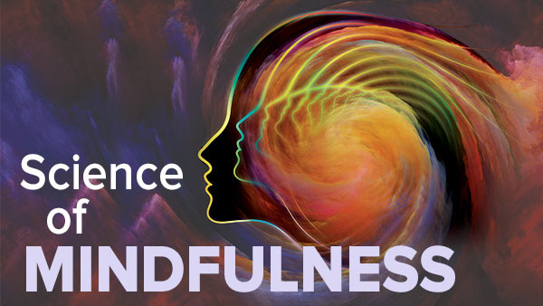 Understanding Mindfulness - What is the Science Behind Being Mindful ...